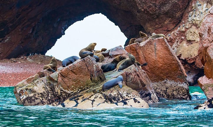 Planning a trip to Peru - Blog - Vidal Expeditons